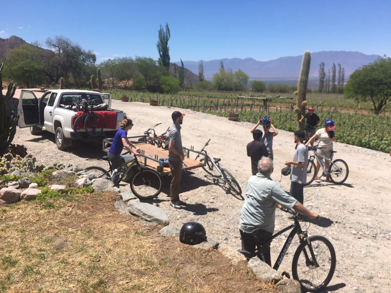 WINE TASTING AND MOUNTAIN BIKE DOWNHILL THROUGH VINEYARDS IN CAFAYATE