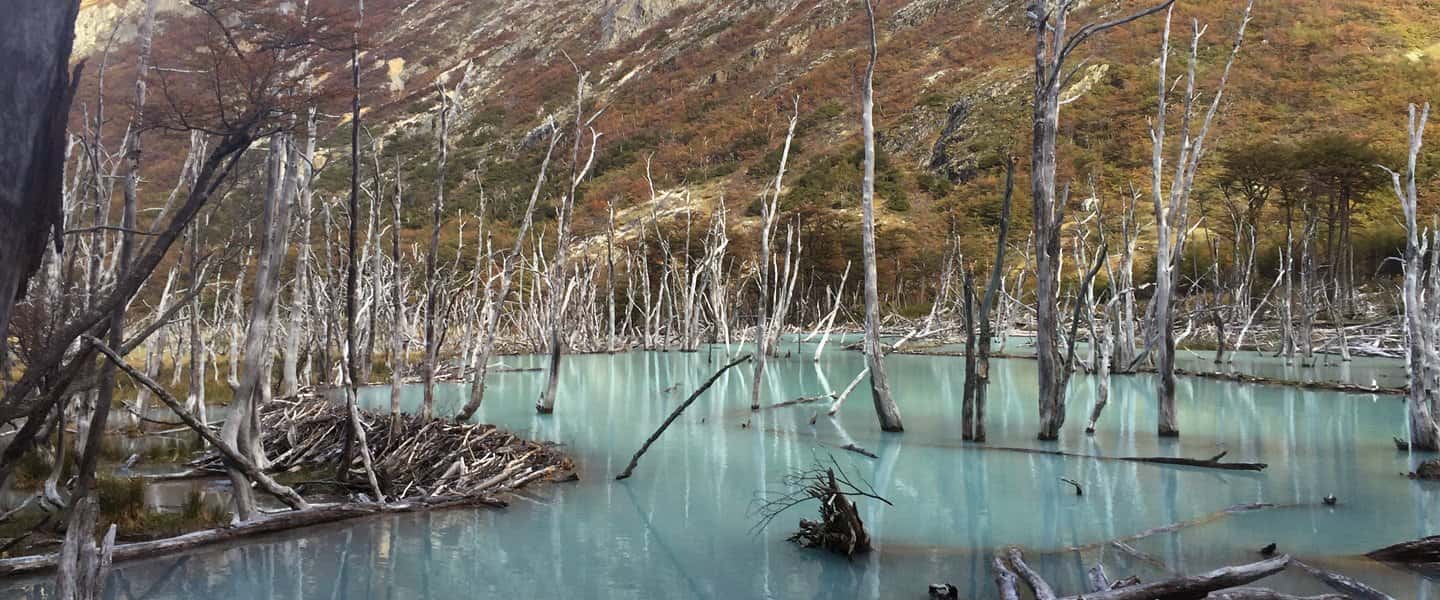 HIKING TO THE EMERALD LAGOON IN USHUAIA